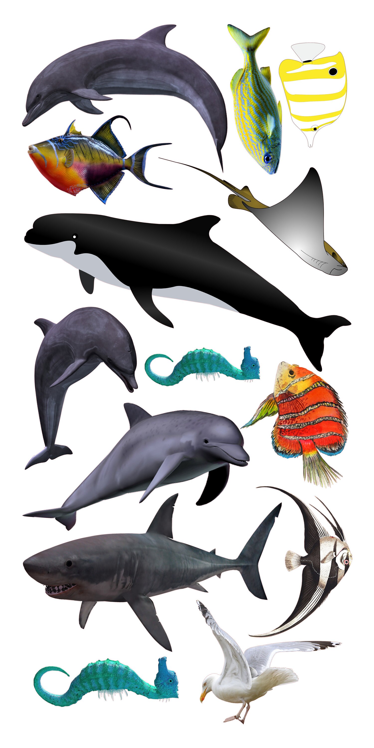 Sea Life Wall Decals Ocean Life Decals Tropical Wall Decor - Etsy