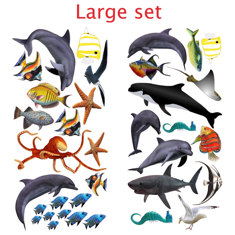 Sea Life Wall Decals Ocean Life Decals Tropical Wall Decor - Etsy