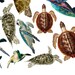 Sea Turtle Wall Decals, Fabric Wall Decals, 16 Tropical Turtle Stickers ...