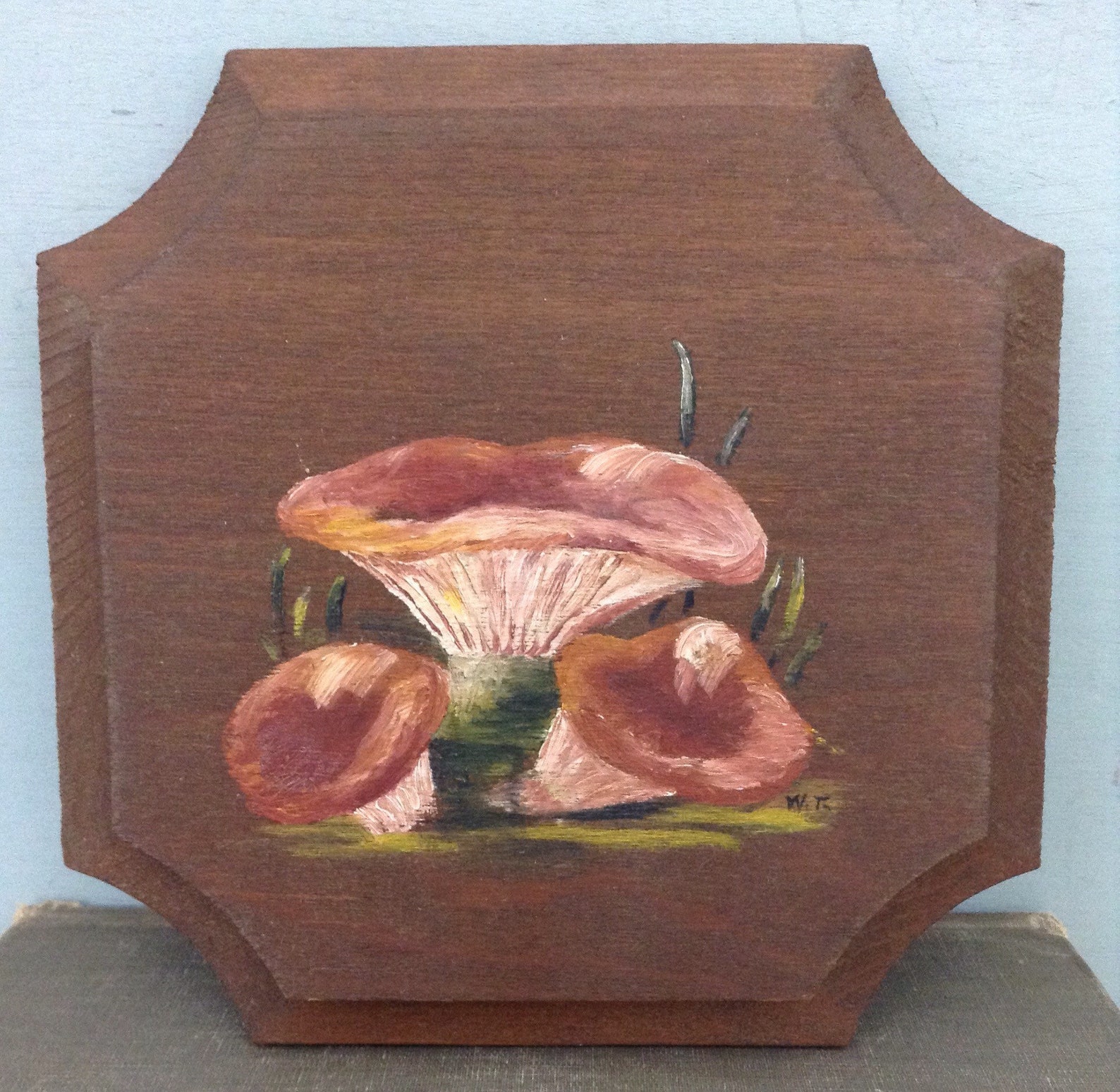 Handpainted Wood Mushroom Wall Pictures Mushroom Wall Plaques | Etsy