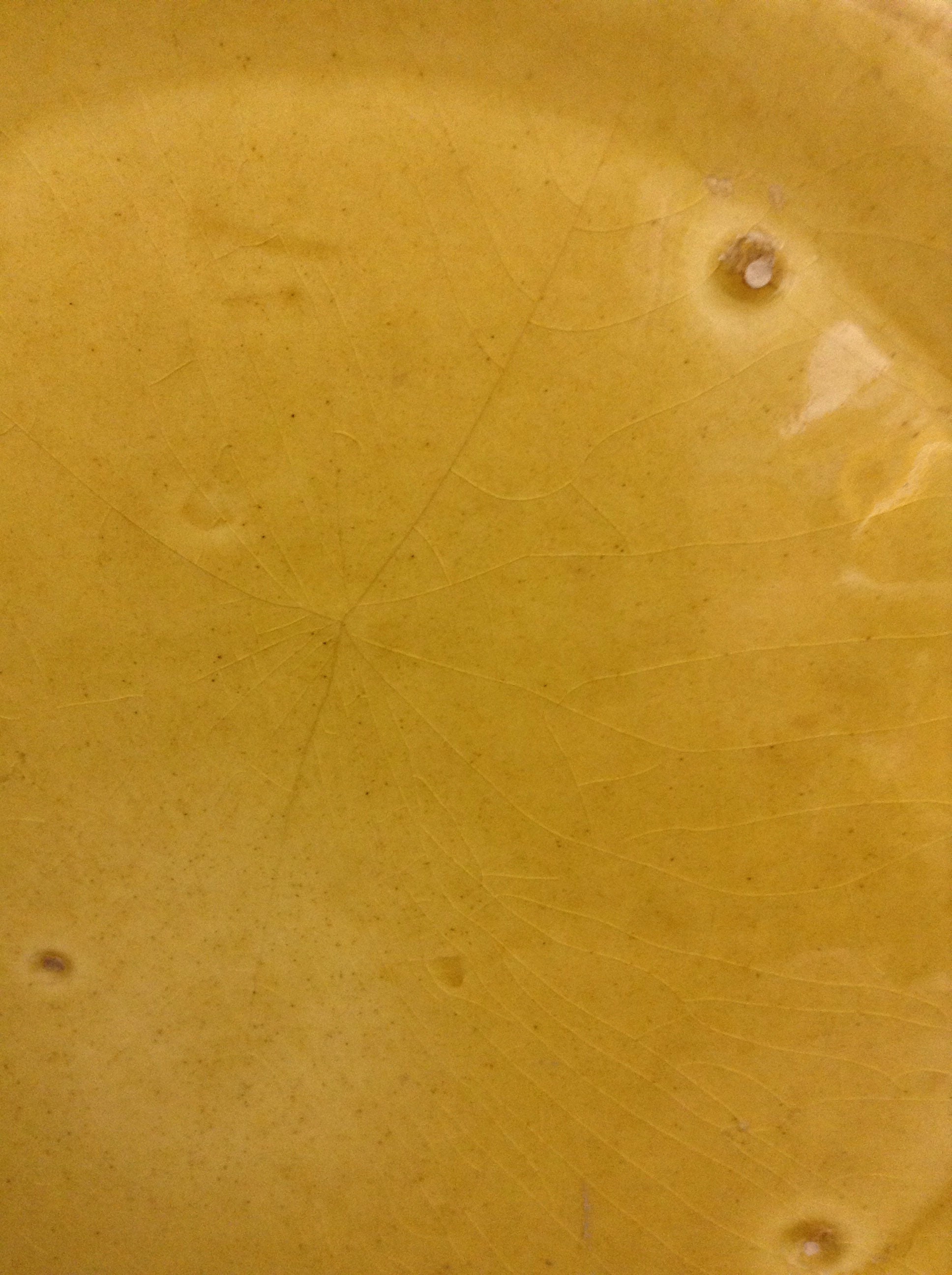 Yellow Ceramic Crock Kitchen Planter Mustard Yellow | Etsy