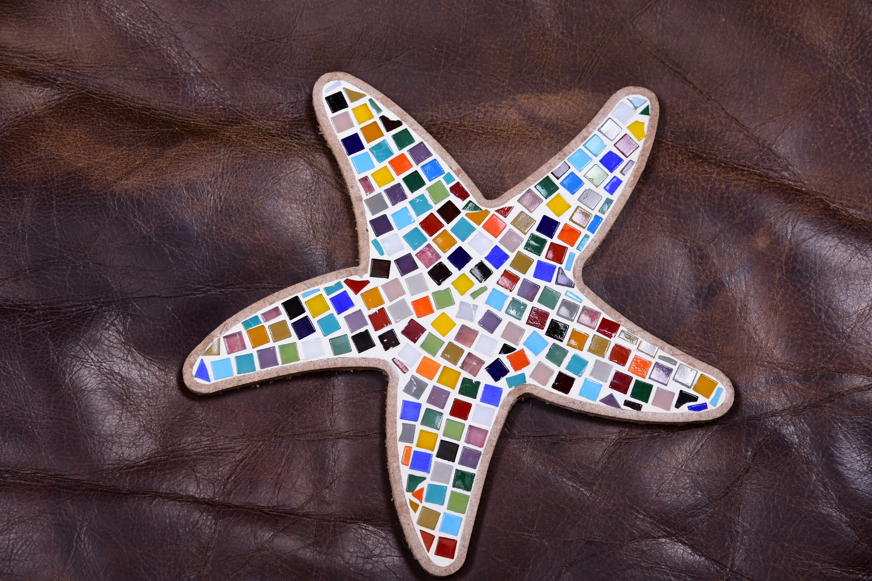 DIY Mosaic Sea Star KIT - Etsy