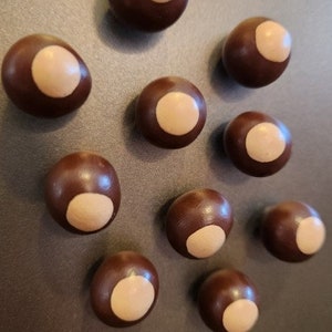 Mini Buckeye Nut Magnets Handmade From Polymer Clay, Strong. Great Gift ...