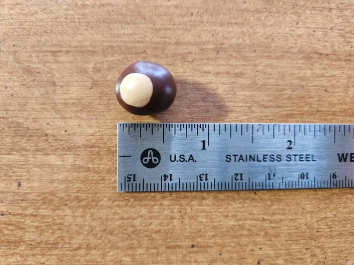 Mini Buckeye Nut Magnets Handmade From Polymer Clay, Strong. Great Gift ...