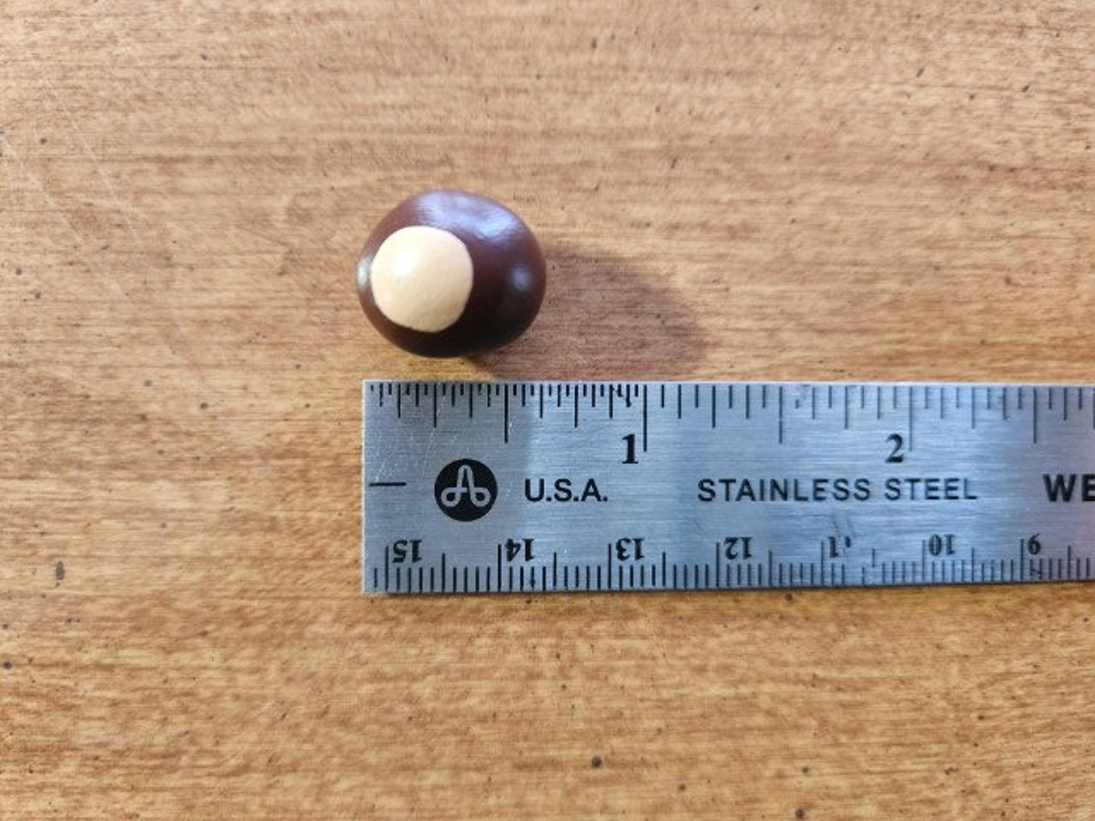 Handmade Buckeye Nut Magnet, Polymer Clay, Ohio State Fan Gift - Etsy