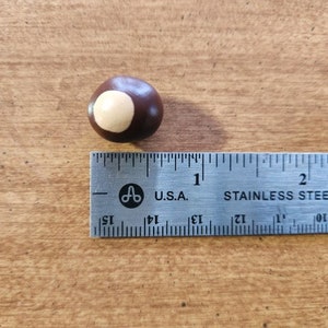 Mini Buckeye Nut Magnets Handmade From Polymer Clay, Strong. Great Gift ...