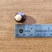 Mini Buckeye Nut Magnets Handmade From Polymer Clay, Strong. Great Gift ...
