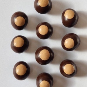 Mini Buckeye Nut Magnets Handmade From Polymer Clay, Strong. Great Gift ...