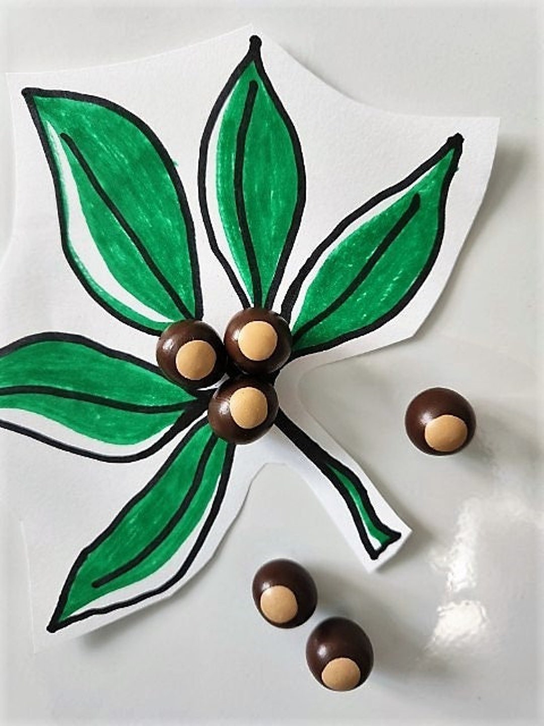 Handmade Buckeye Nut Magnet, Polymer Clay, Ohio State Fan Gift - Etsy
