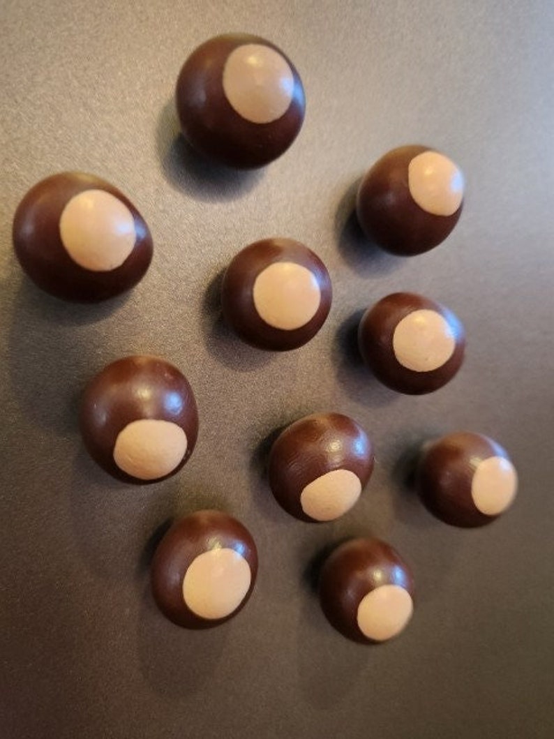 Handmade Buckeye Nut Magnet, Polymer Clay, Ohio State Fan Gift - Etsy