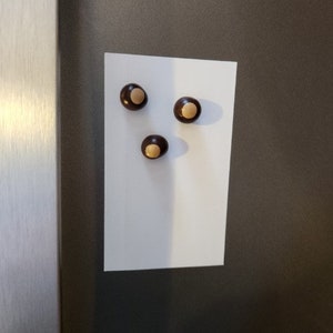 Mini Buckeye Nut Magnets Handmade From Polymer Clay, Strong. Great Gift ...
