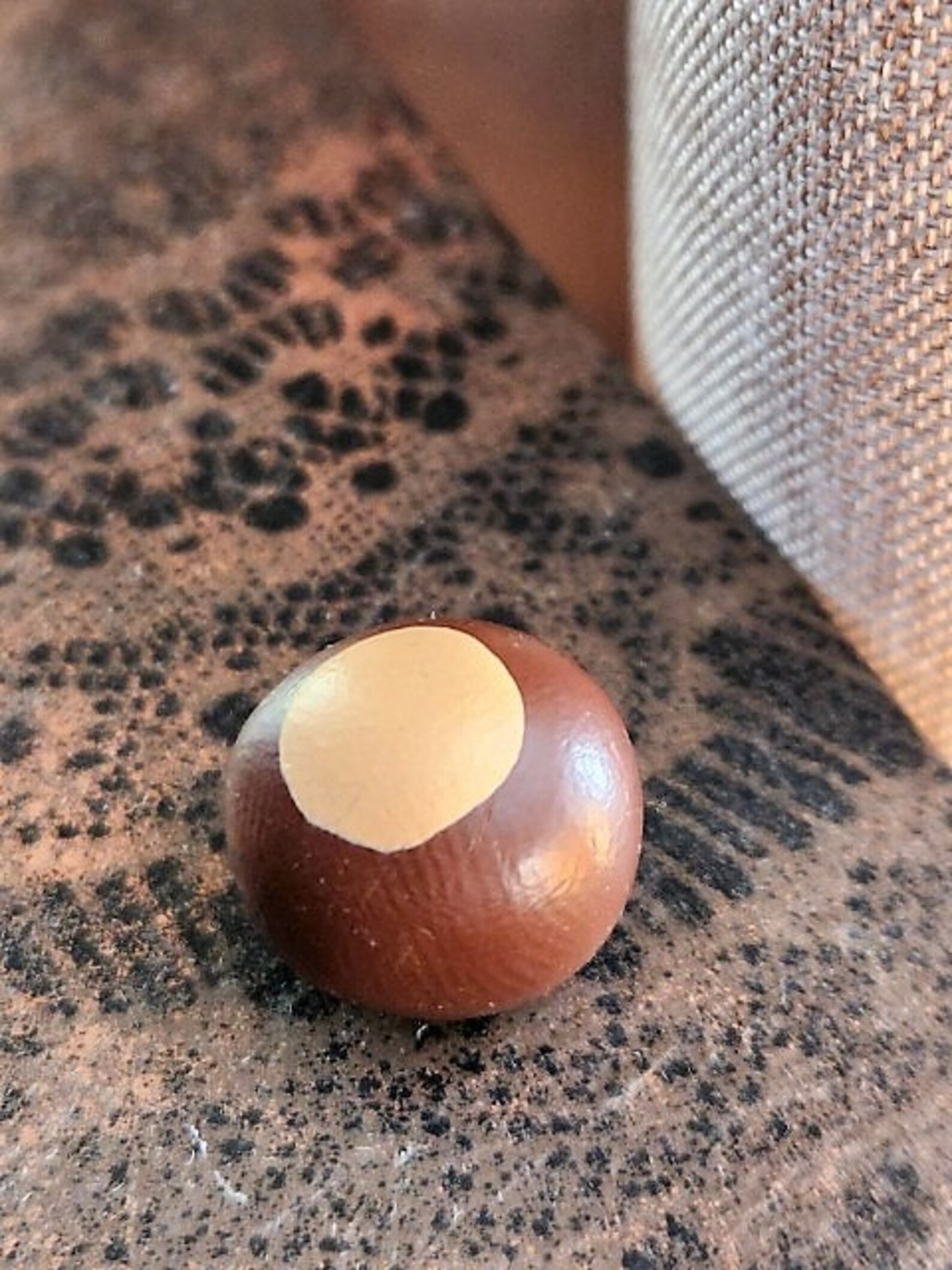 Handmade Buckeye Nut Magnet, Polymer Clay, Ohio State Fan Gift - Etsy