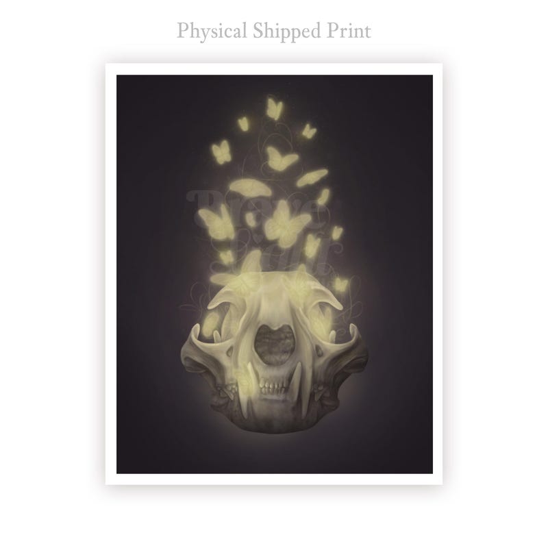 Bobcat Skull - Etsy