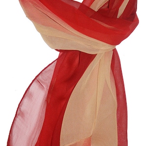 Water Color Two Tone Silk Blend Sheer Oblong Scarf Assorted Multi Color ...