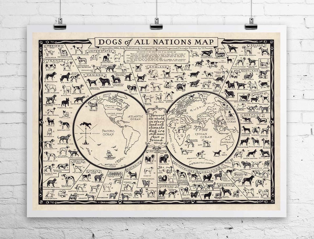 1936 Vintage Dog Breeds Map: Fine Art Giclee Print - Etsy