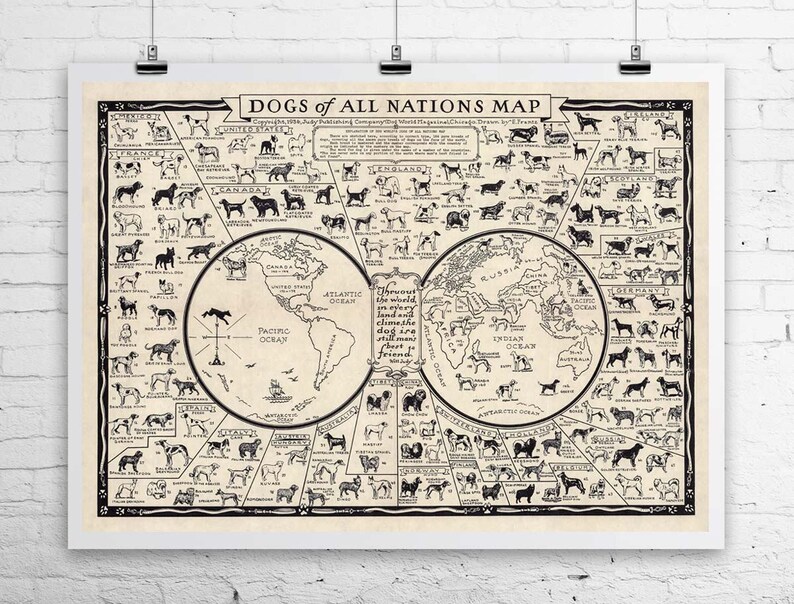 1936 Vintage Dog Breeds Map: Fine Art Giclee Print - Etsy
