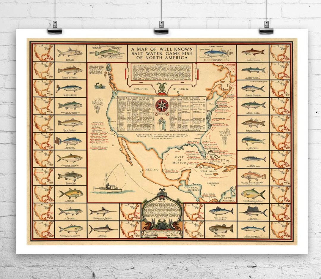 Salt Water Game Fish of North America Illustrated Fishing Map Fine Art ...