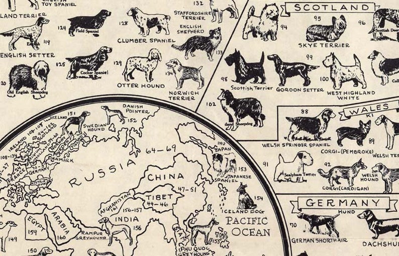1936 Vintage Dog Breeds Map: Fine Art Giclee Print - Etsy