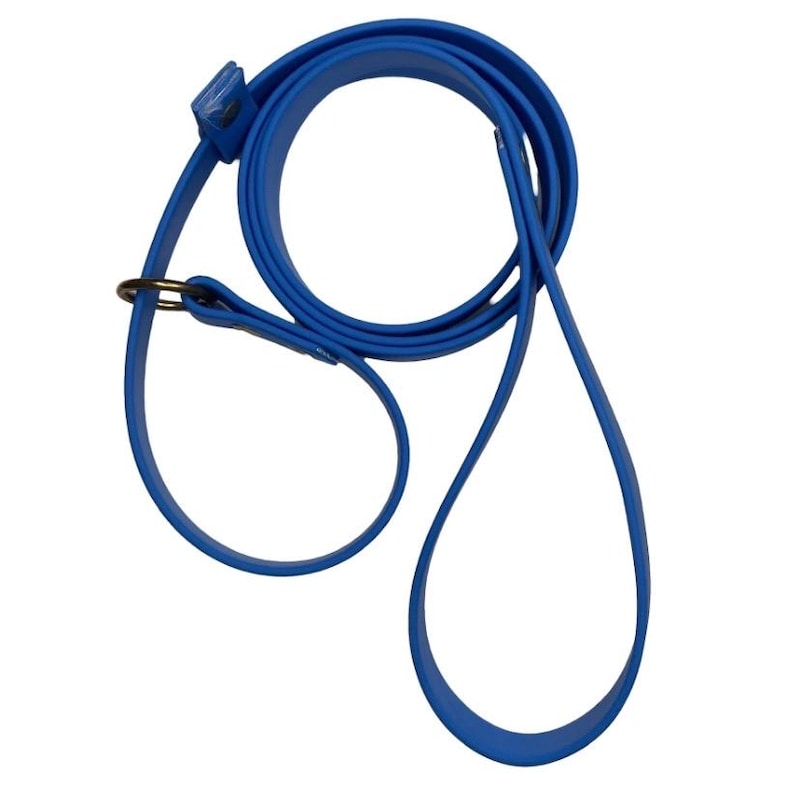 Biothane Slip Collar 5 8 - Etsy