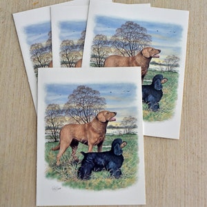 Vintage,artist Peter Barrett,12 Note Cards,12 Envelopes,1984,fleetwood ...