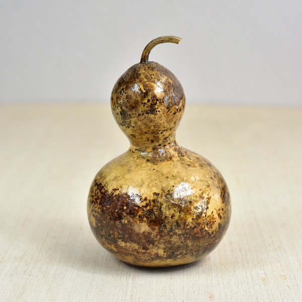 Dried Gourd - Etsy