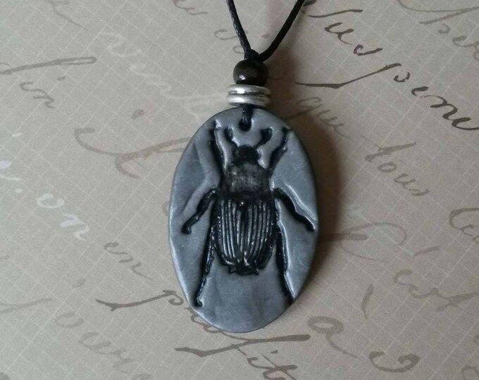 Beetle Pendant, Bug Jewelry, Science Nature Necklace, Goth and ...