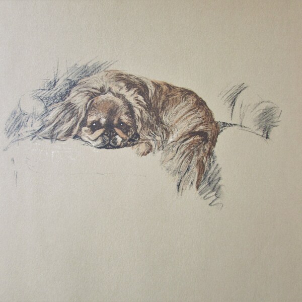 Pekingese Print - Etsy