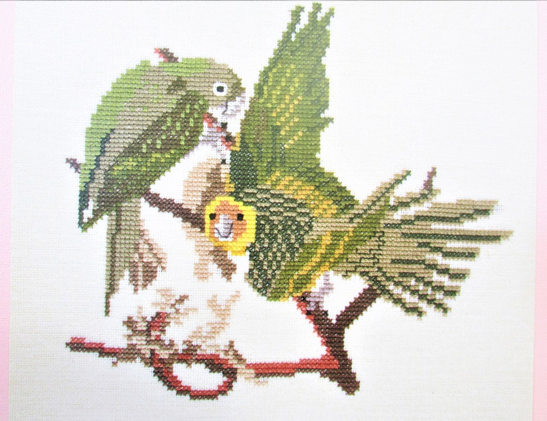 Carolina Parakeet Cross Stitch Sampler Pattern/ John James Audubon ...