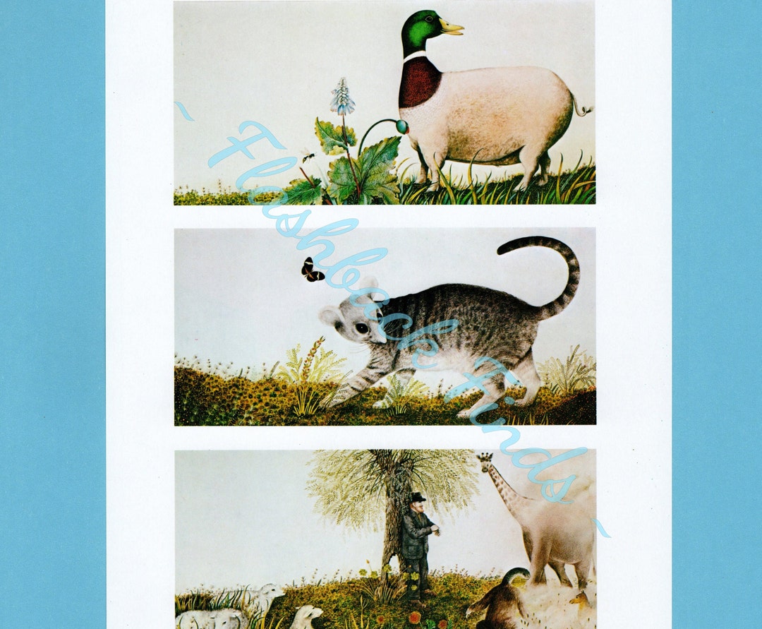 Surrealist Hybrid Animals Art Print/ Fantasy Mythical Creatures, Pig ...