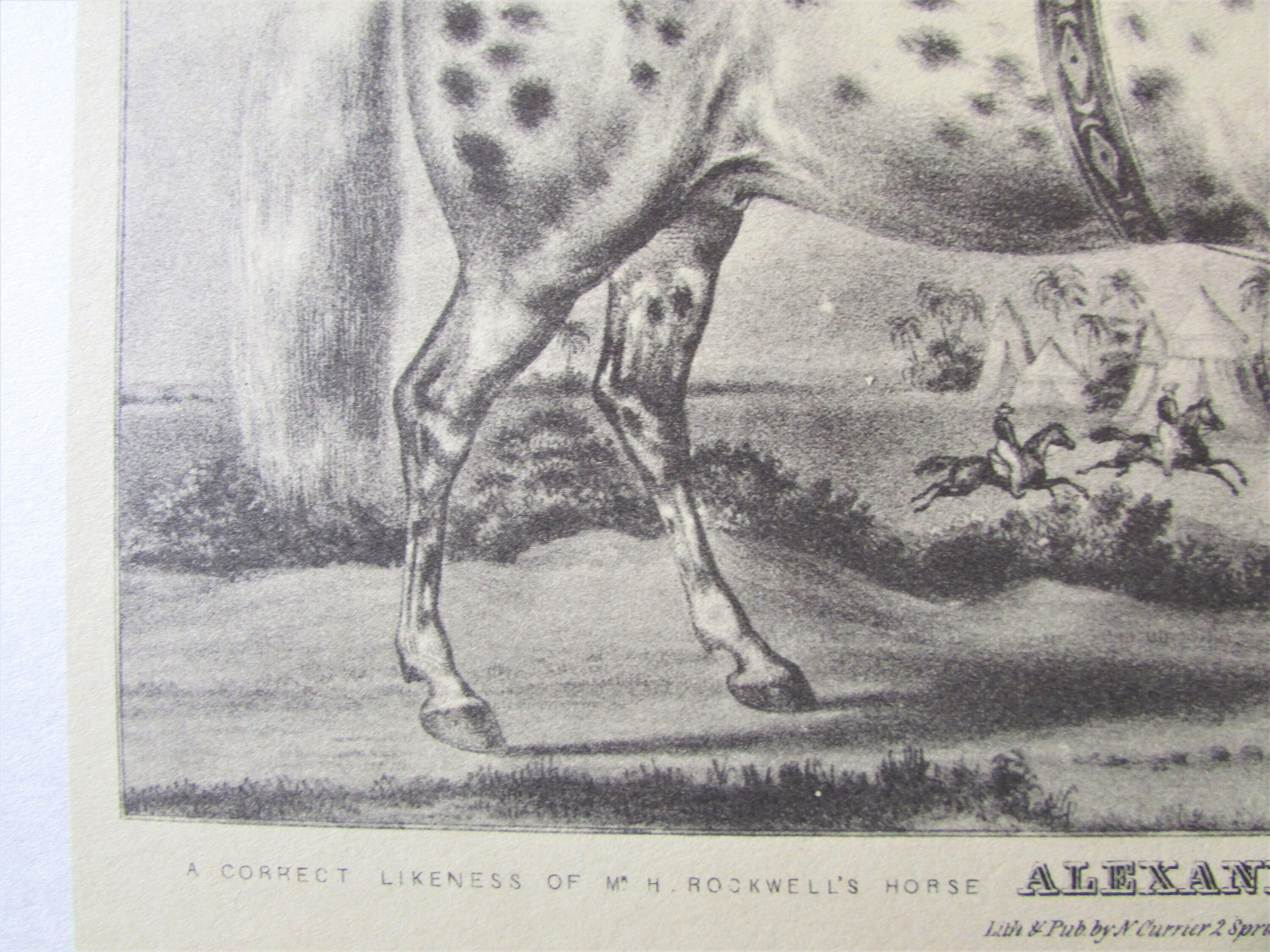 Alexander Appaloosa Horse Art Print/ Currier & Ives Lithograph ...
