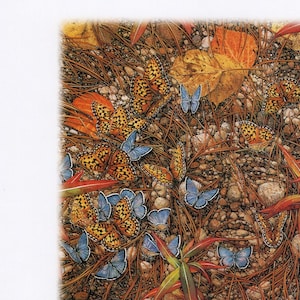 Spirit Takes Flight, Butterfly Art Print by Bev Doolittle/ Native ...