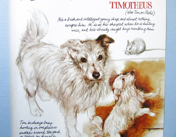 Jack Russell Terrier Dog Art Print/ Timotheus Quick | Etsy