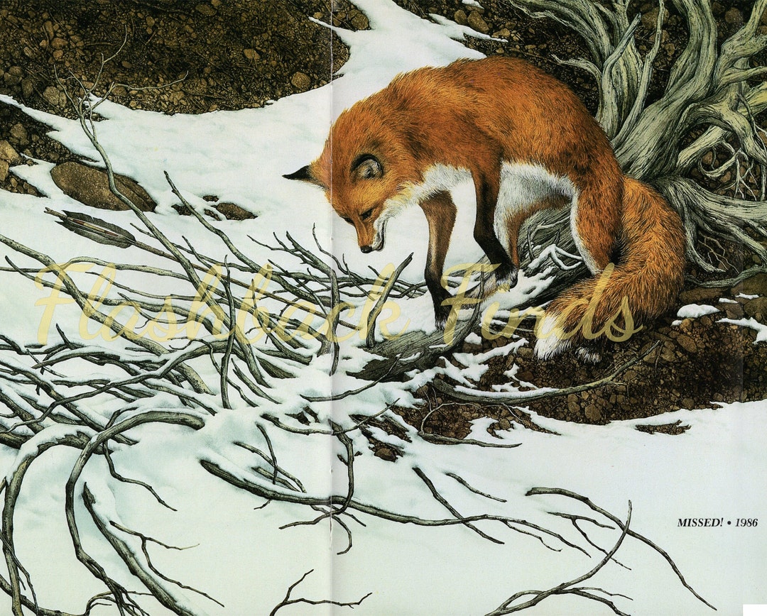 Missed Red Fox Art Print by Bev Doolittle/ Camouflage Bear - Etsy