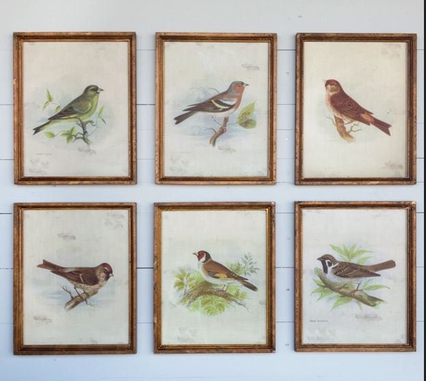 American Bittern Bird Art Print Book Plate/ 1960's Water | Etsy