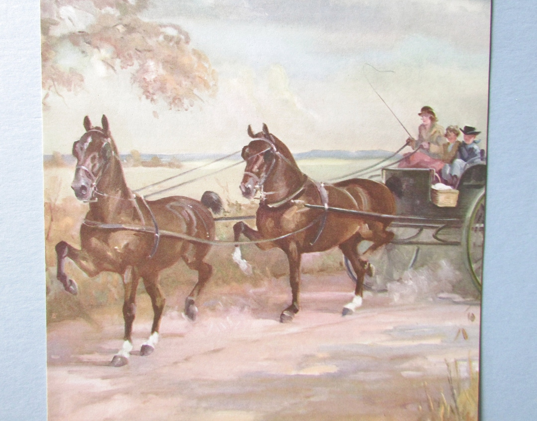 Hackney Horse Harness Racing Art Print/ Equestrian Rider - Etsy