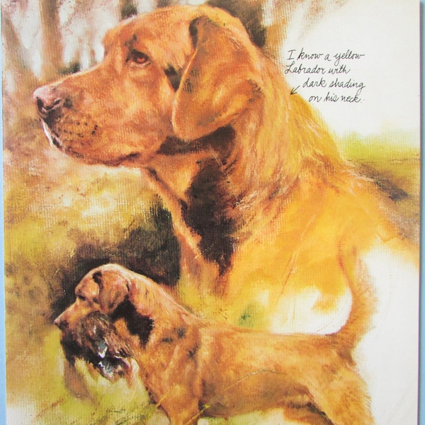 Labrador Retriever Hunting Dog Art - Etsy