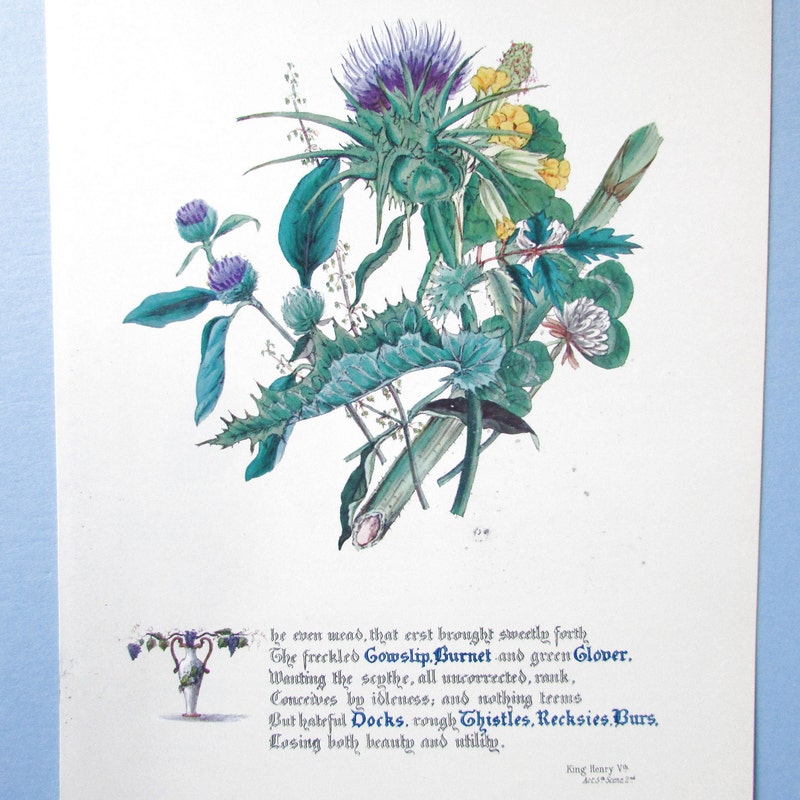 Botanical Book Plate - Etsy