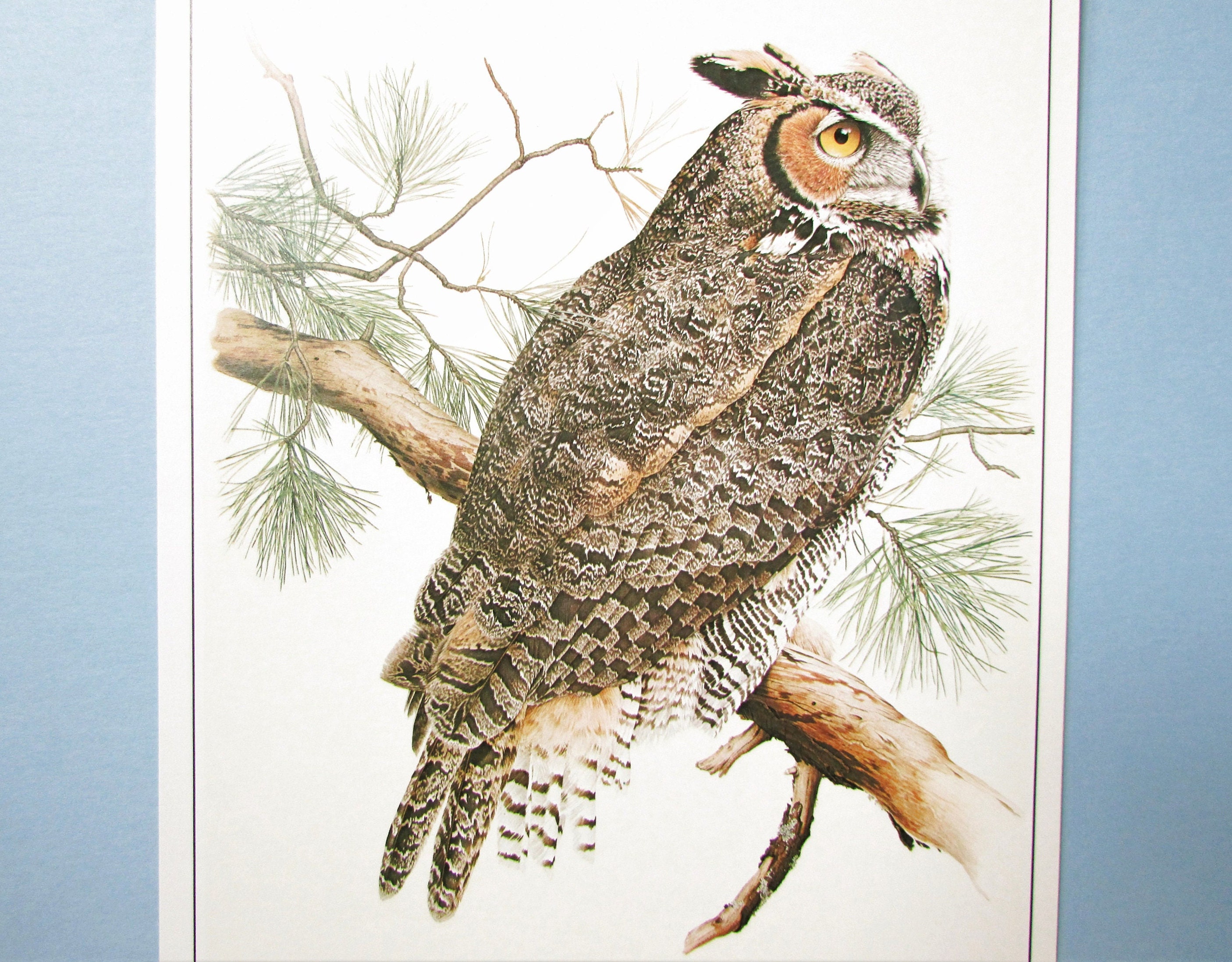 Great Horned Owl In Flight Drawing