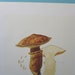 Slippery Jack Mushroom Botanical Art Print, Color Plate/ Fungus ...