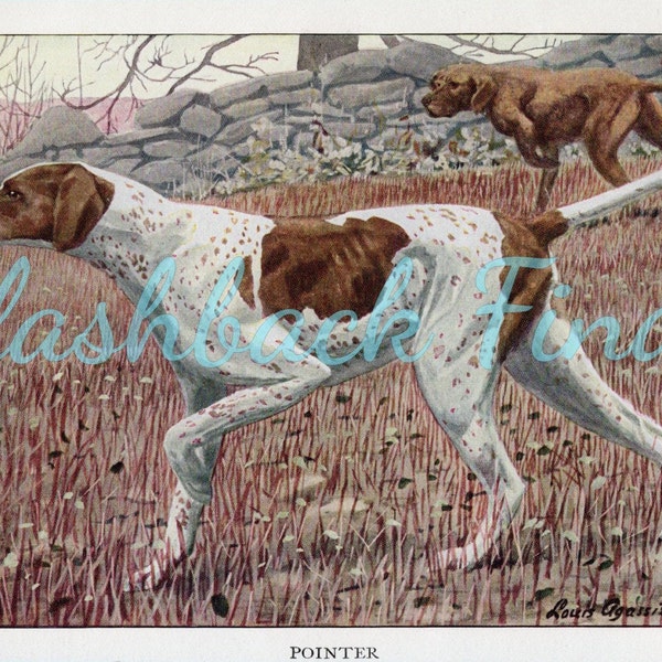 Sporting Dog Art - Etsy