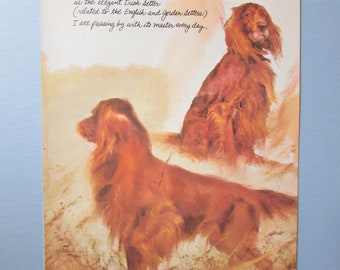 Irish Setter Book - Etsy