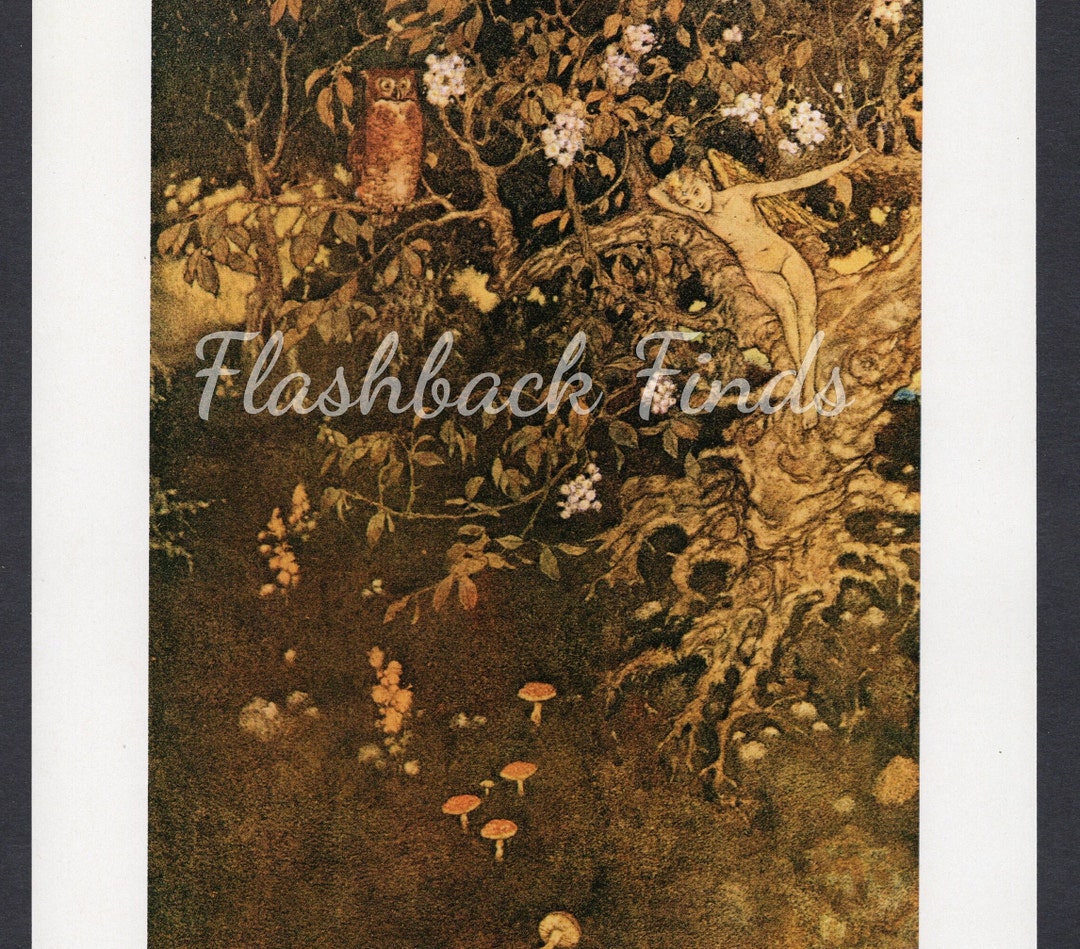 The Tempest ARIEL Fantasy Art Print by Edmund Dulac/ Shakespeare's ...