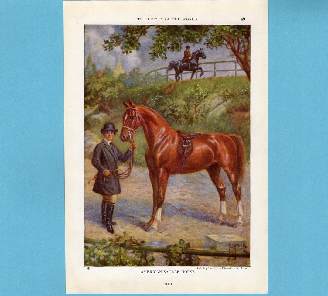 American Saddlebred, Saddle Horse Art Print/ Kentucky Saddler Horse ...