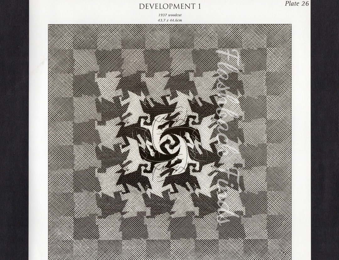 MC Escher Development I Reptiles Art Print/ Modern Relativity, Optical ...