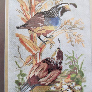 California Quails Bird Cross Stitch Pattern/ Quails With Nest, Wild ...