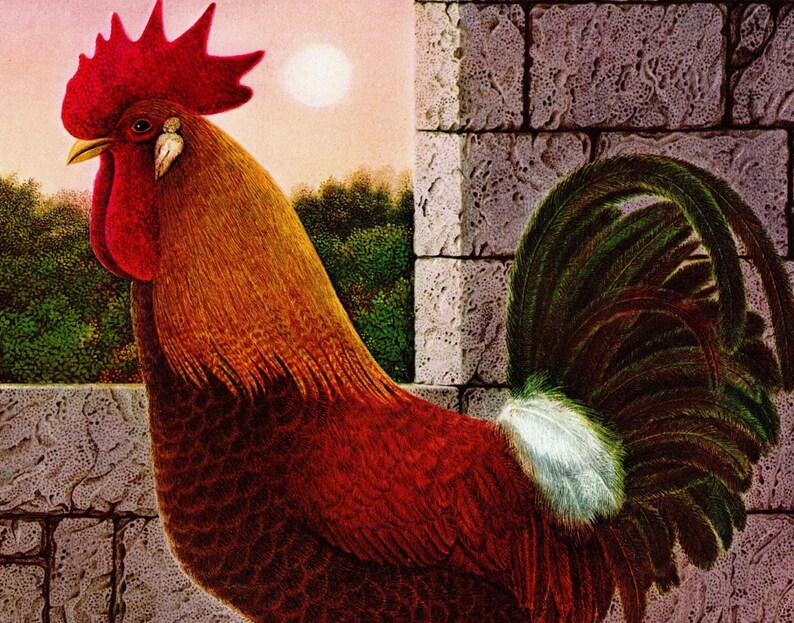 Rhode Island Red Rooster Art Print/ Chicken at Morning Sunrise, Fantasy ...