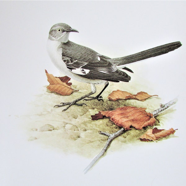 Mockingbird Print - Etsy