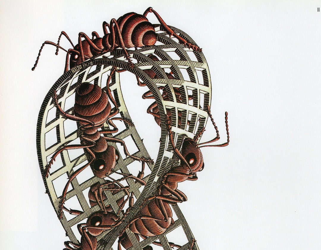 MC Escher Ants Moebius Band II Art Print/ Modern Relativity, Optical ...