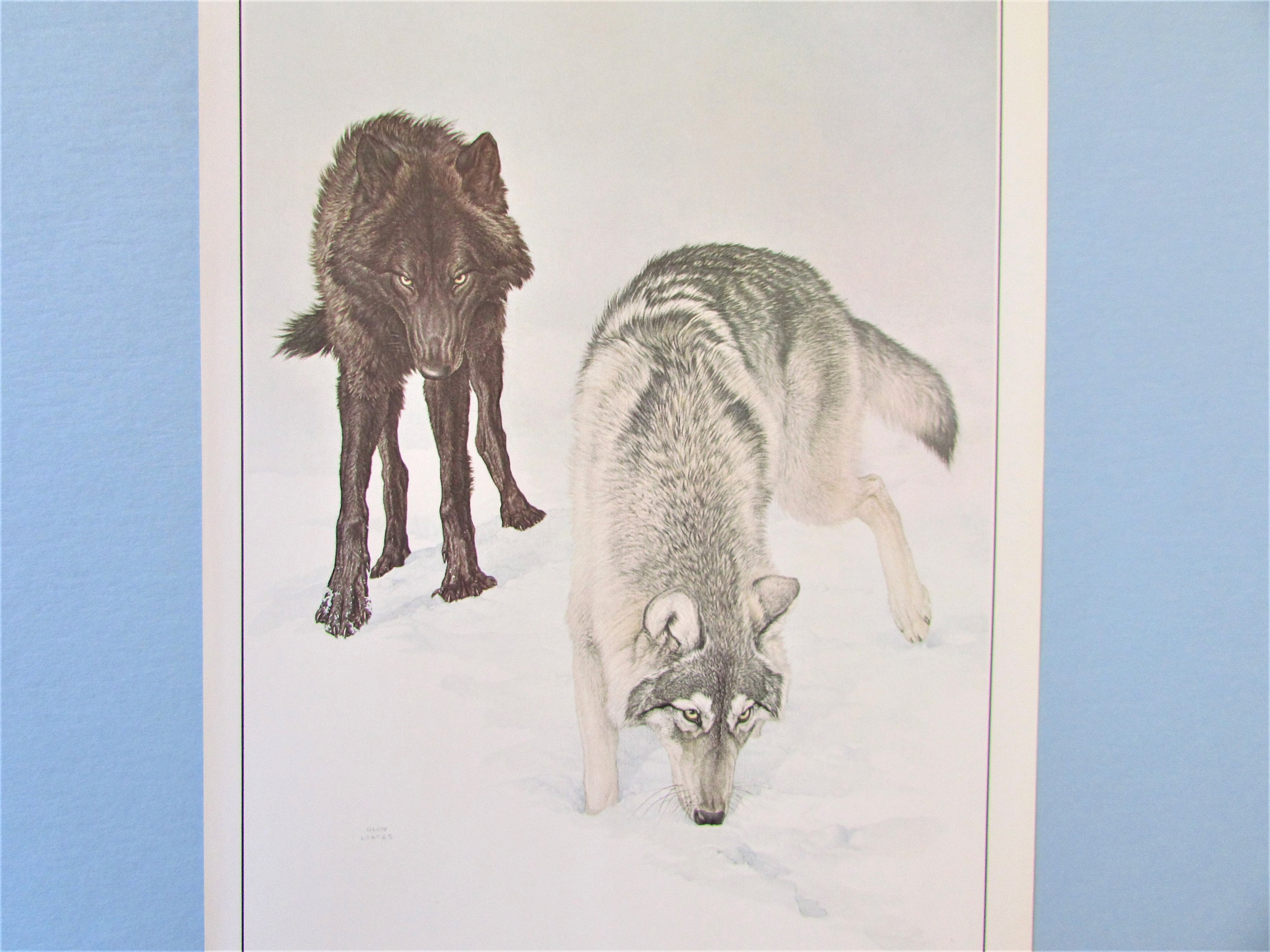 Glen Loates for sale | Only 3 left at -60%