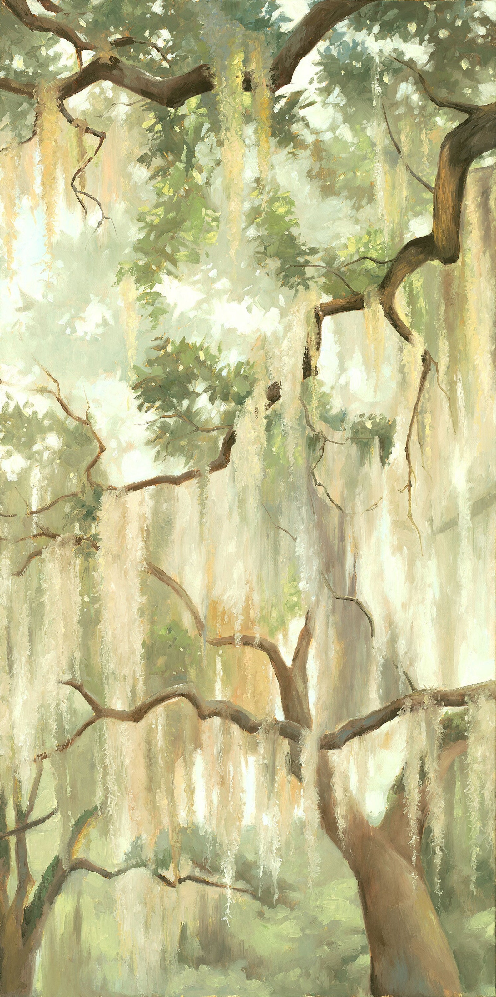 Live Oak Canopy Art, Spanish Moss, Louisiana Home Decor, Home Warming ...